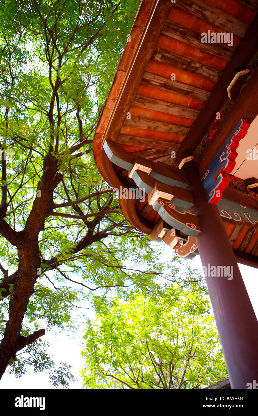 Architecturetrees hi-res stock photography and images - Alamy