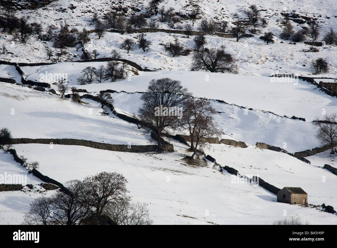 Snow covered fields in Swaledale North Yorkshire England UK Stock Photo ...