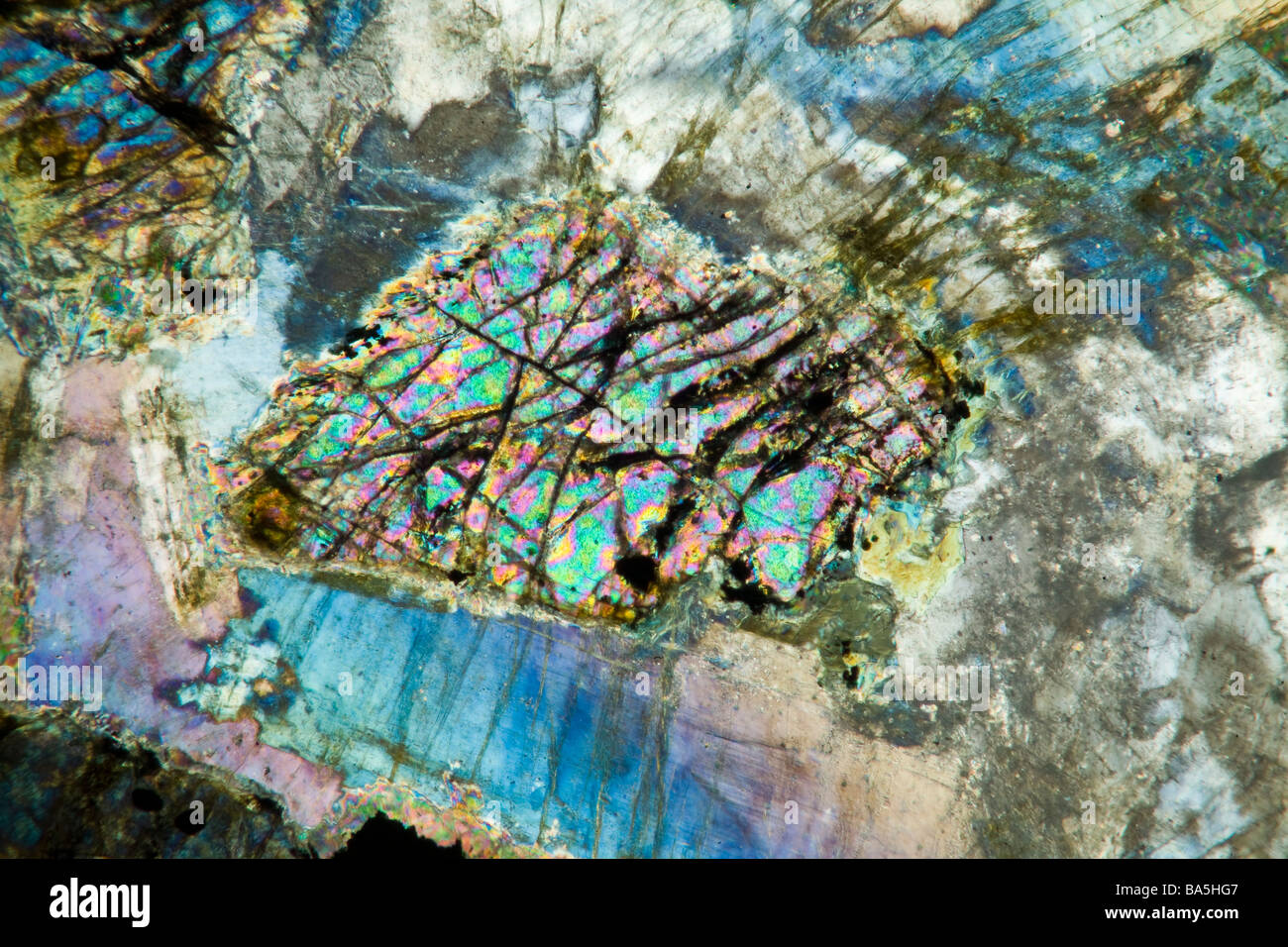 Mineral microscope slide section of Kentallenite rock using cross ...