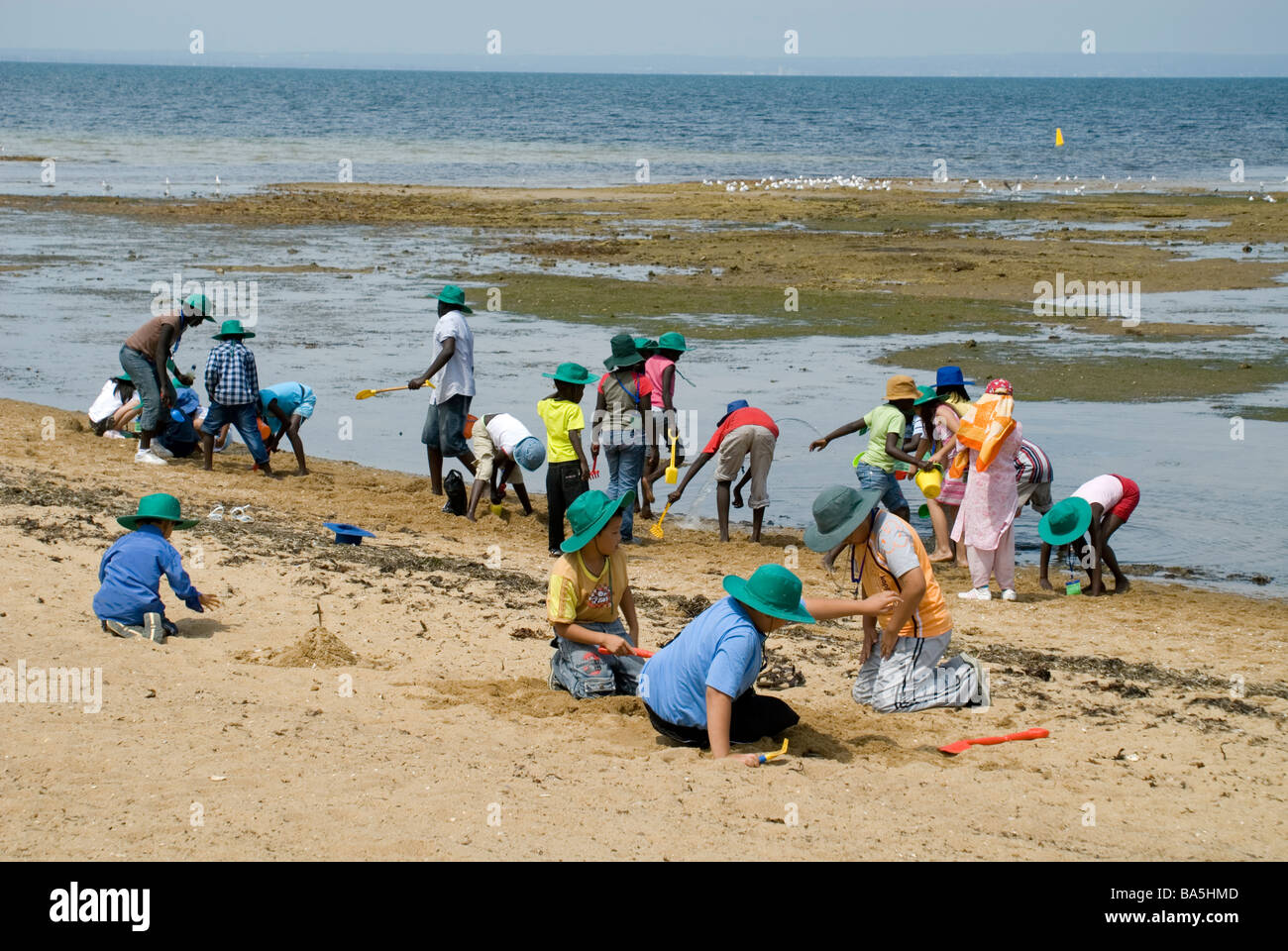 School excursion at Ricketts Point , Port Phillip Bay , Melbourne ...