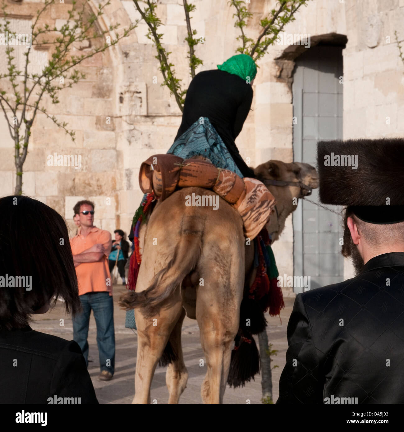 Camel riding israel hi-res stock photography and images - Alamy