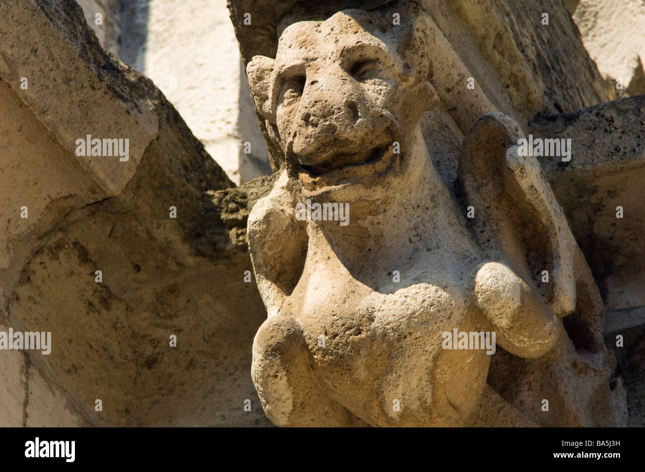 chimere Gargoyle Dom dome Regensburg gothic CATHEDRAL St Peter Roman ...