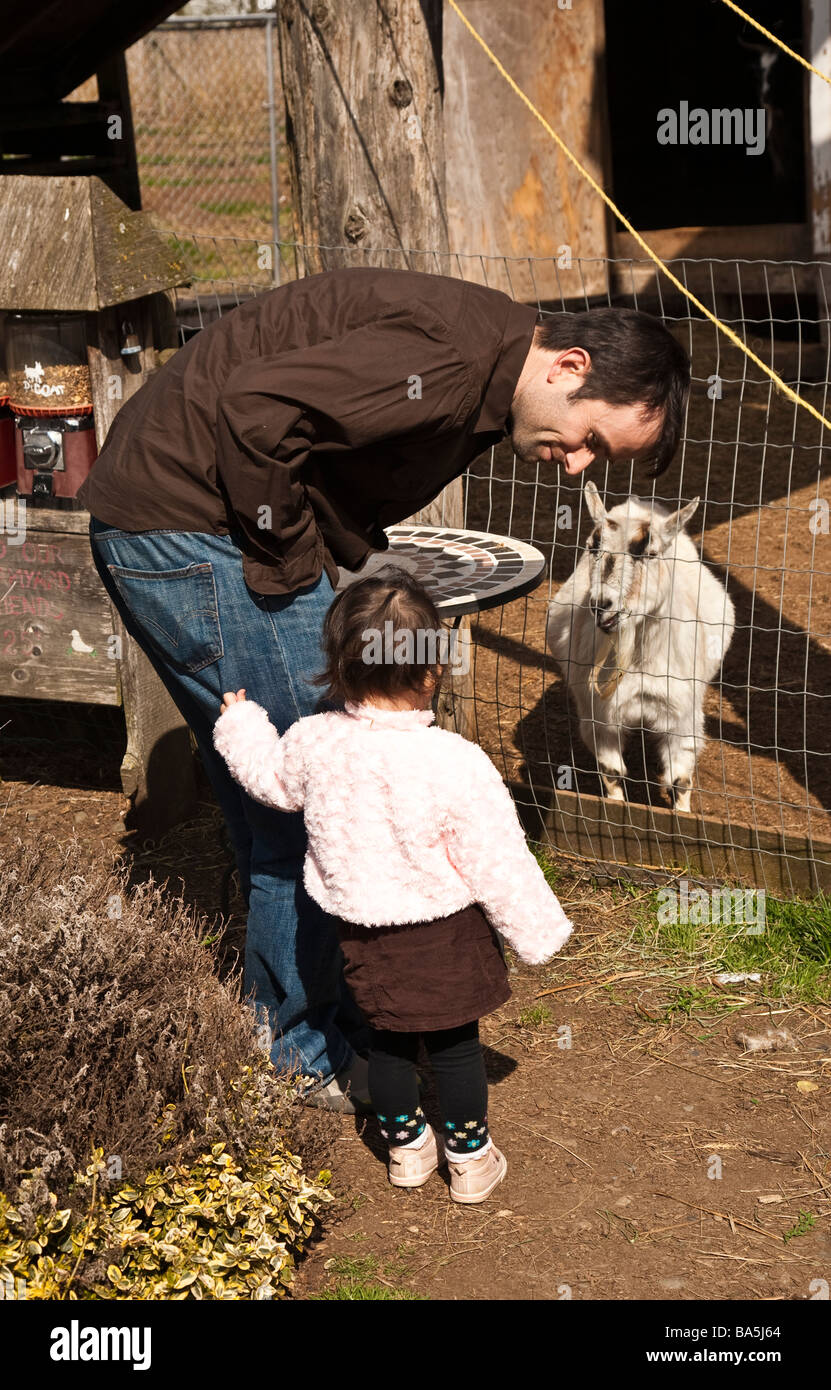 Father and daughter feeding a goat at a farm Sunny day at Dan s Farm ...