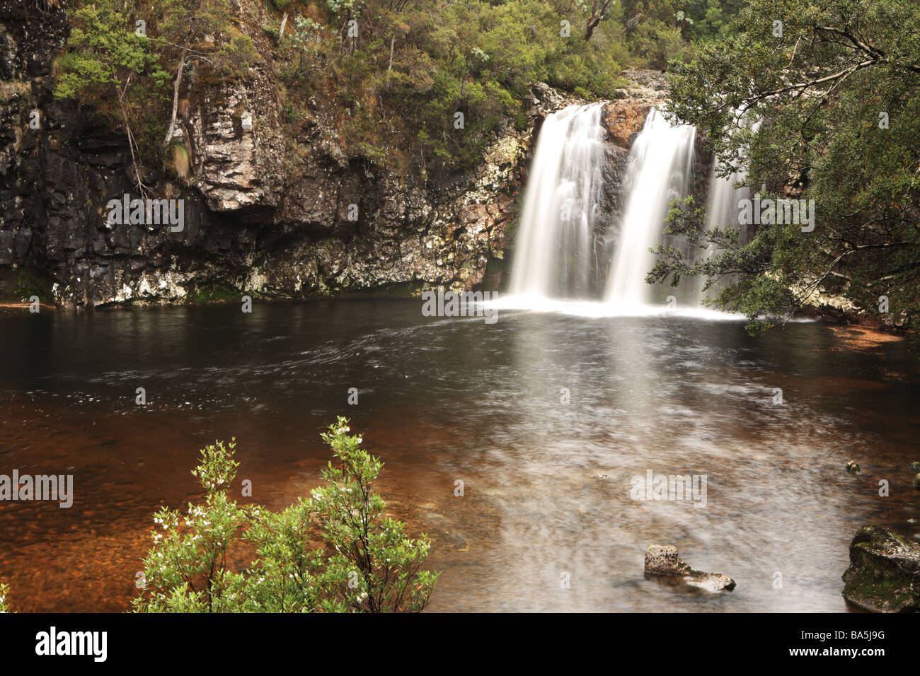 Pencil Pine Falls, Cradle Mountain, Tasmania, Australia Stock Photo - Alamy Pencil Pine Falls, Cradle Mountain, Tasmania, Australia Stock Photo - Alamy