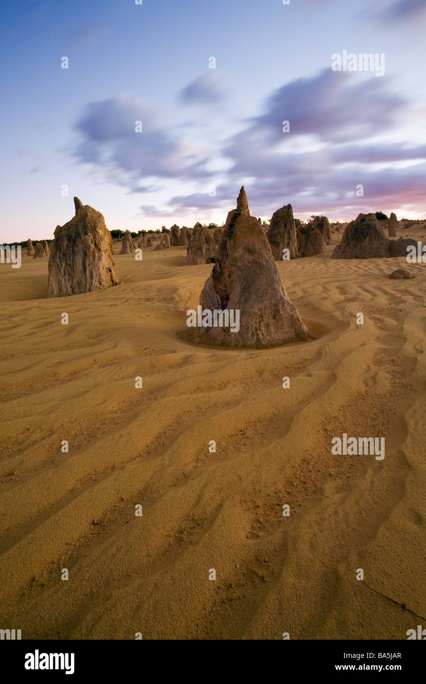 The limestone pillars of the Pinnacles Desert at dawn. Nambung National ...
