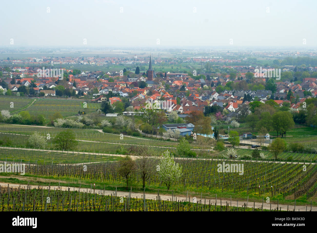 Deidesheim hi-res stock photography and images - Alamy