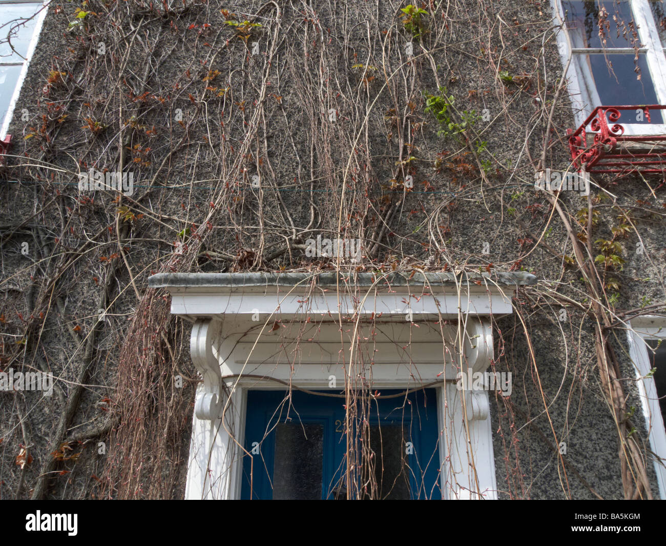 Ivy clad hi-res stock photography and images - Alamy