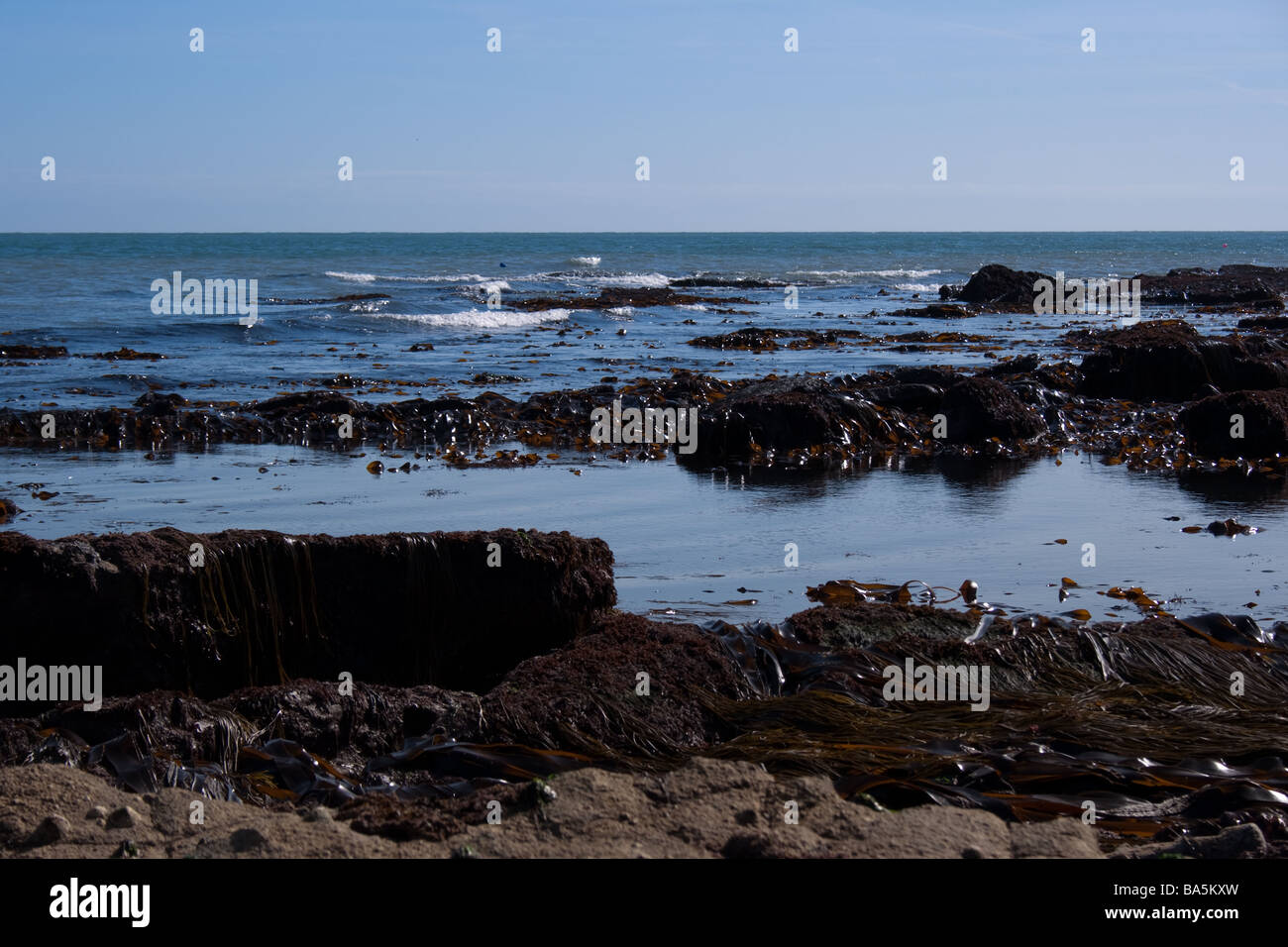 Ocean View with seaweed and rock pools at low tide Stock Photo - Alamy