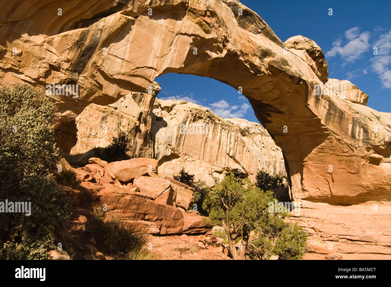 view of the Hickman Bridge in Capital Reef National Park Stock Photo ...