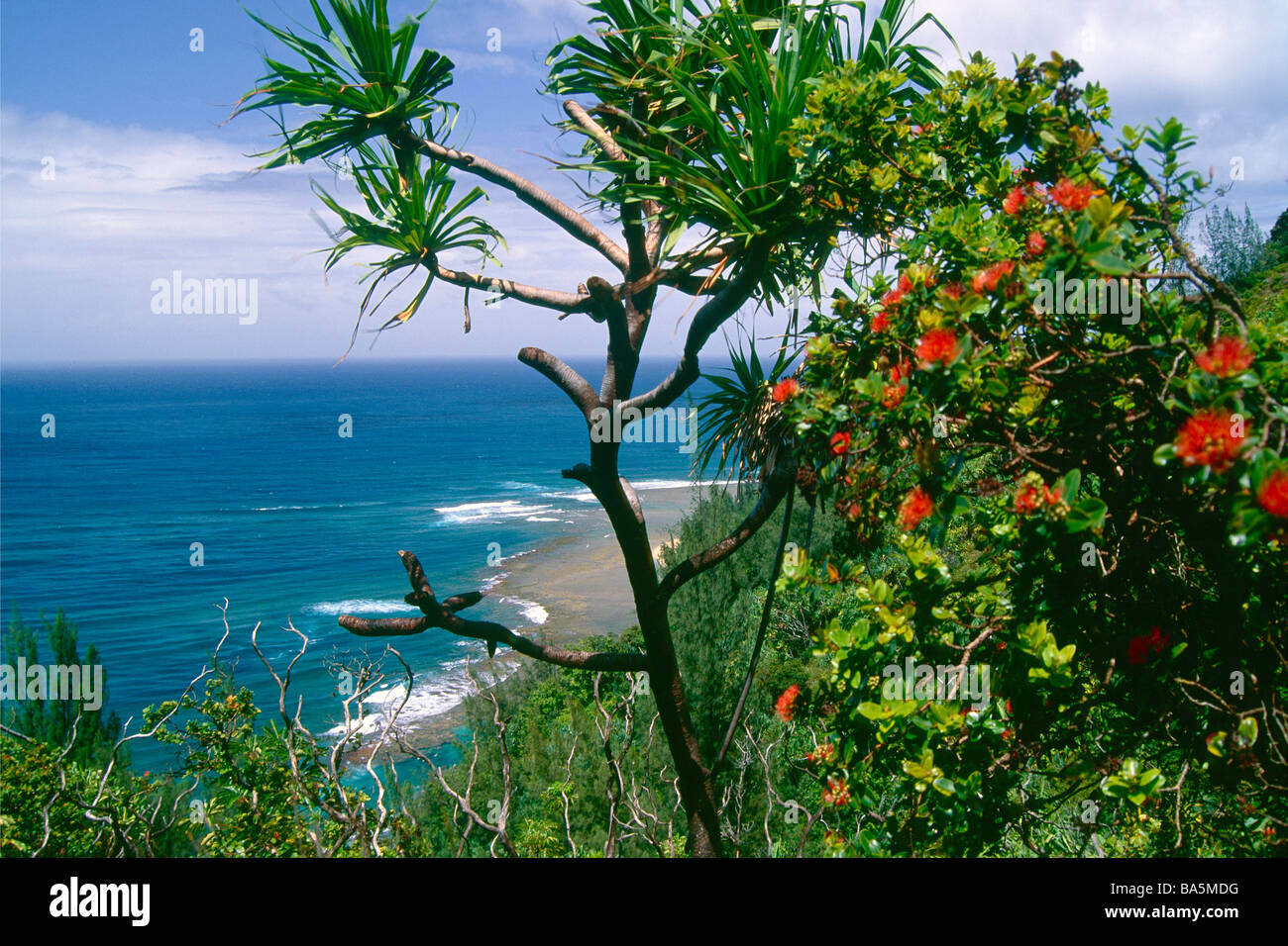 Tropical Shoreline View Kee Beach Na Pali Coast Kauai Hawaii Stock ...
