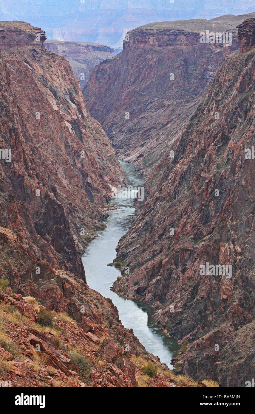 Section of Colorado river Gran Canyon Stock Photo - Alamy