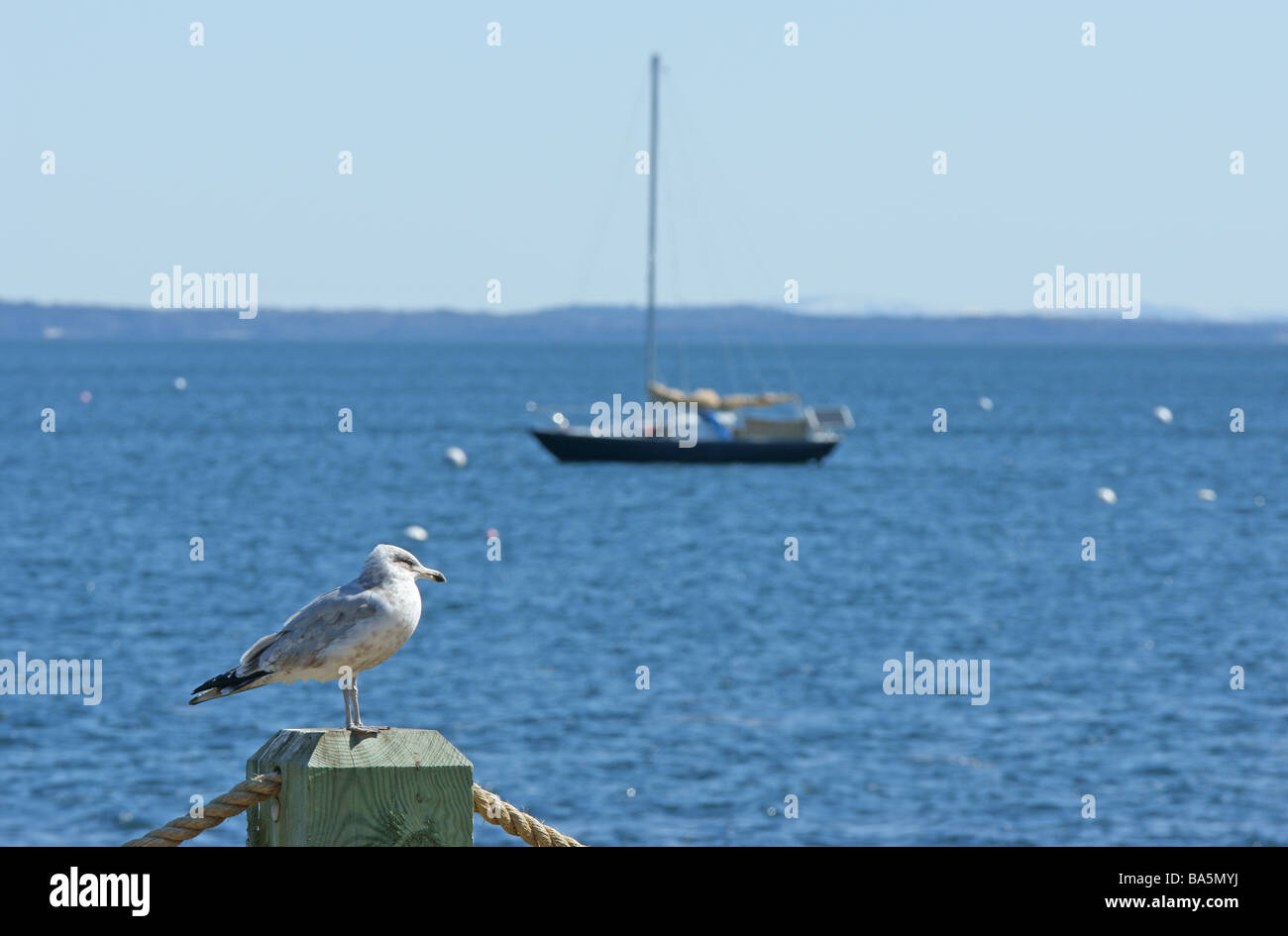 Blue Hull Sailboat High Resolution Stock Photography and Images - Alamy