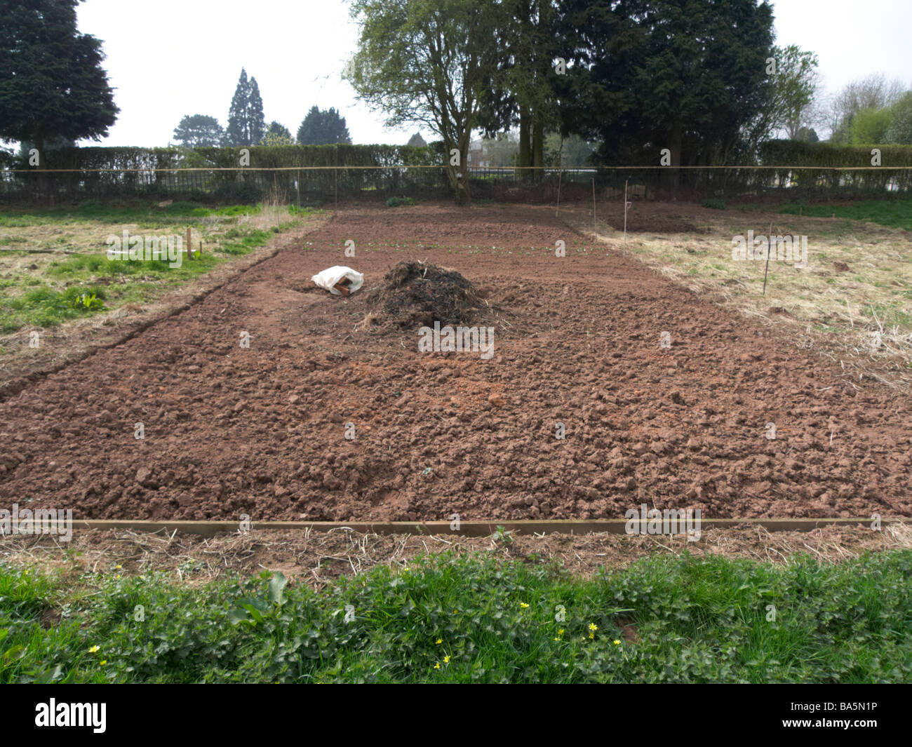 an allotment in bromyard herefordshire Stock Photo - Alamy