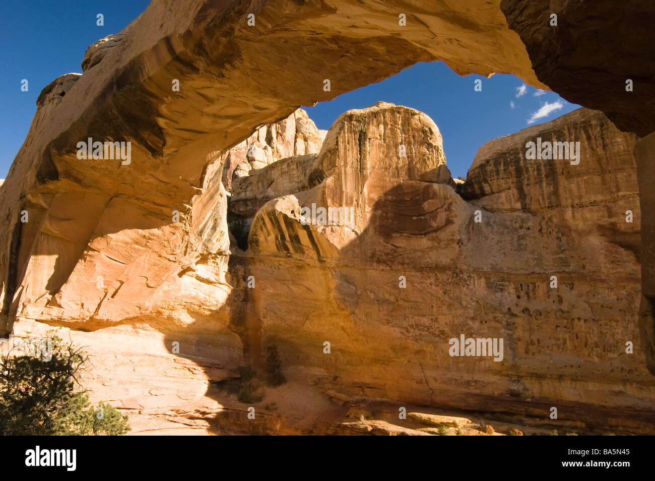 view of the Hickman Bridge in Capital Reef National Park Stock Photo ...