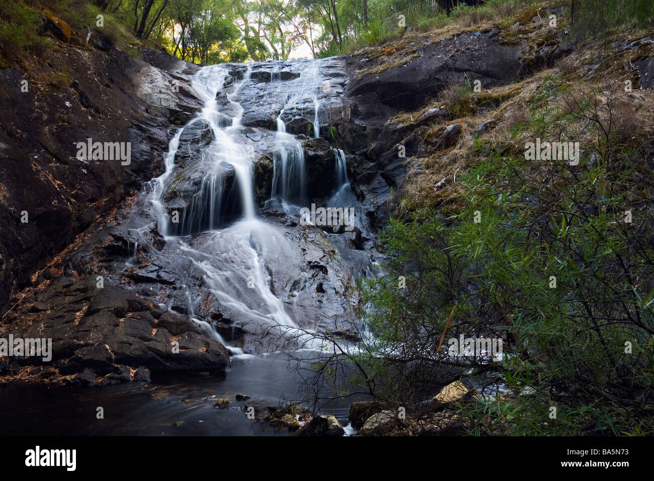 Pemberton australia hi-res stock photography and images - Alamy