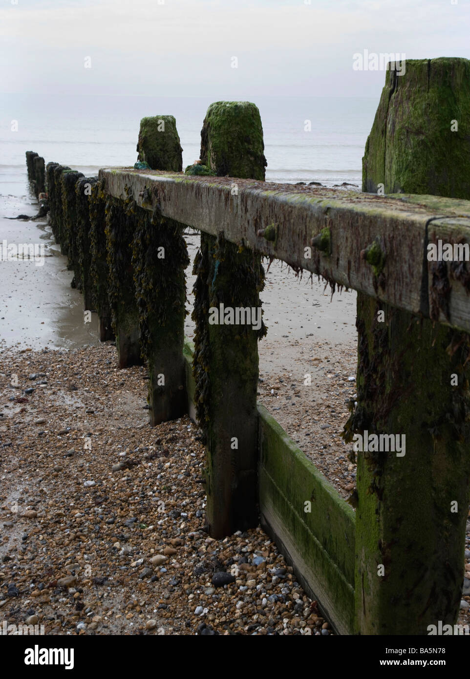 Coastal defences beach groin hi-res stock photography and images - Alamy