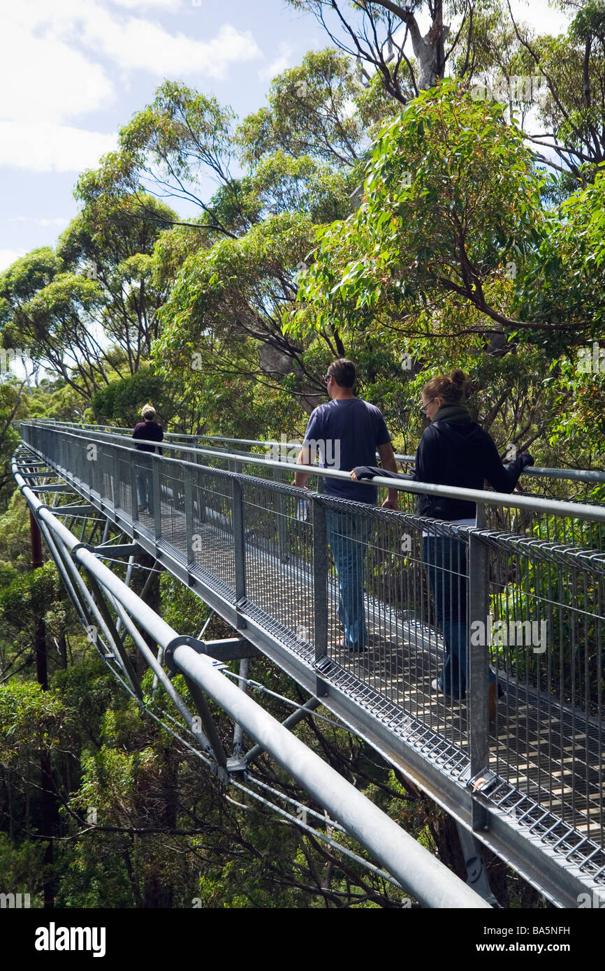 The Tree Top Walk. Walpole-Nornalup National Park, Western Australia ...