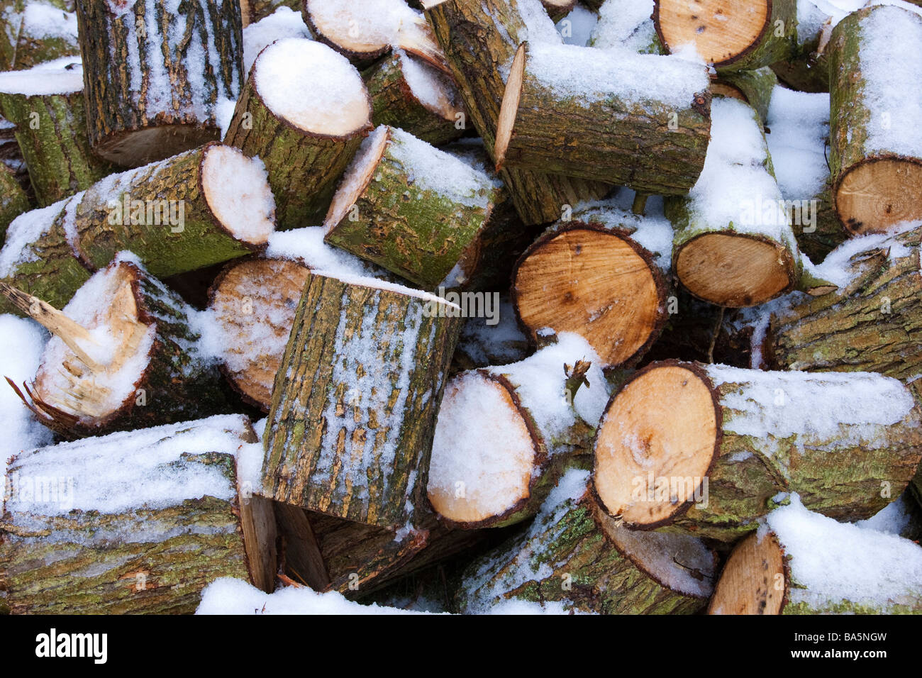 logs / firewood covered in snow Stock Photo - Alamy