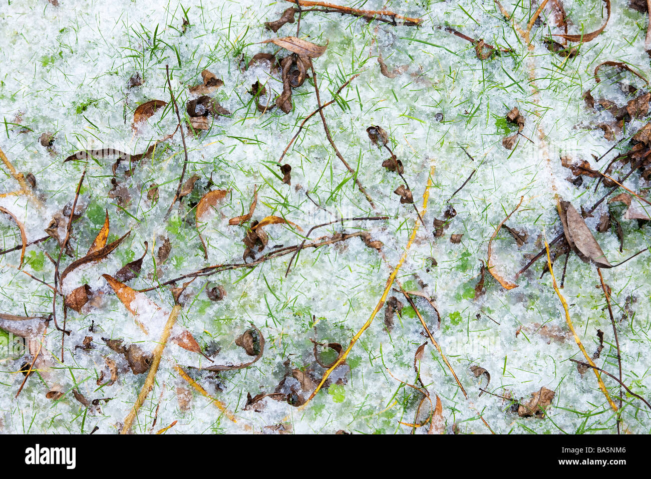 Light snow hi-res stock photography and images - Alamy