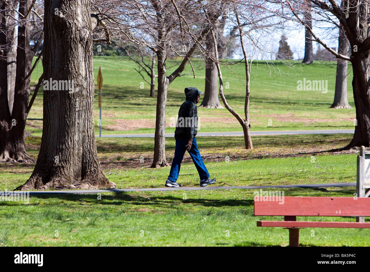 A man taking a walk on a paved path in a well groomed park Stock Photo ...