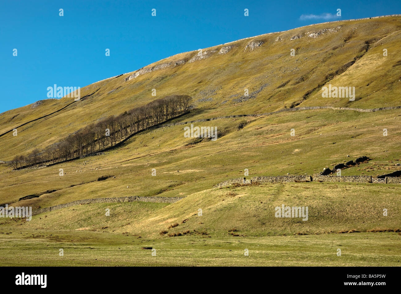 Barn and Dry Stone Walls on hill side, Hawes, Yorkshire Dales National ...