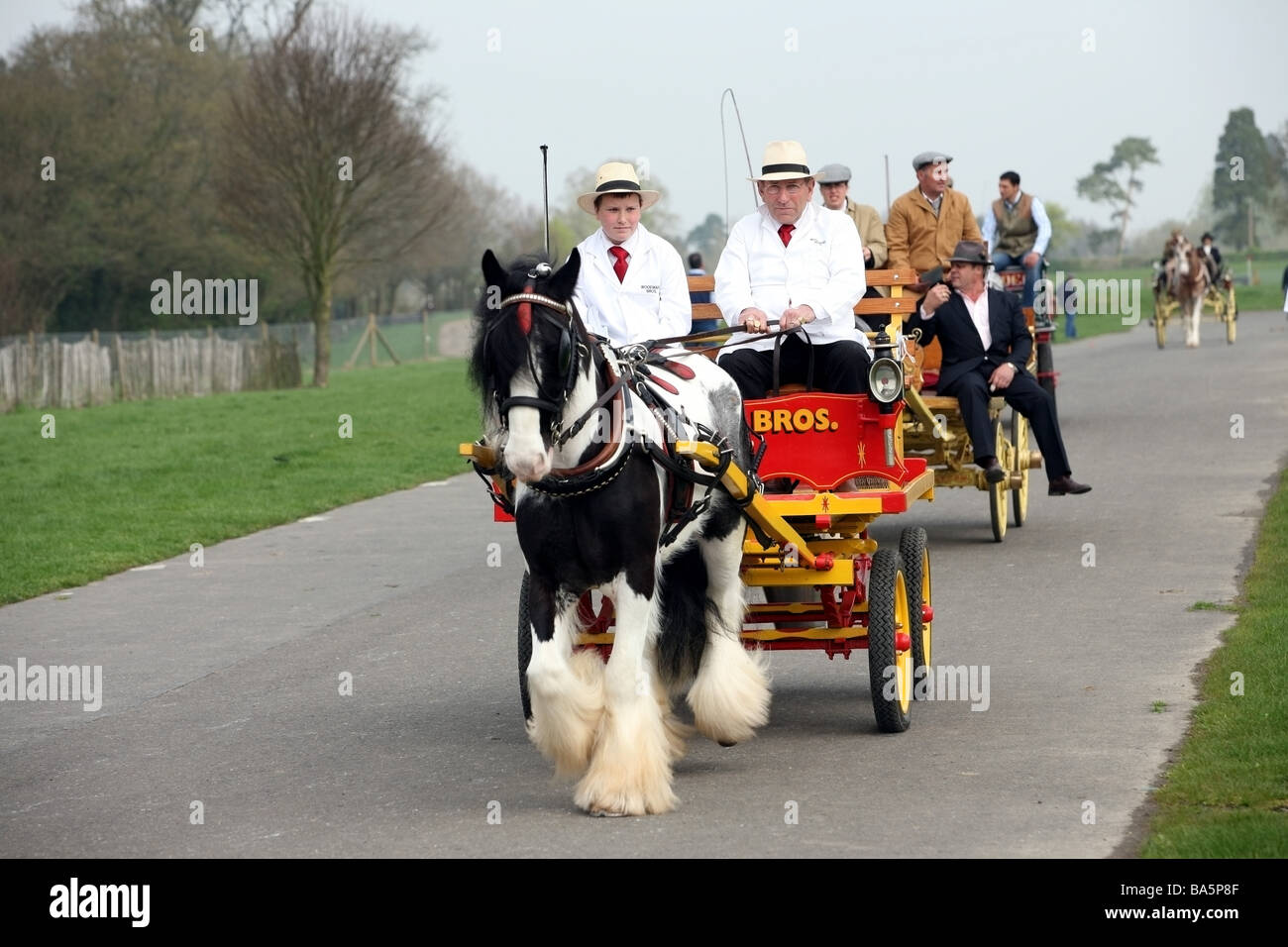 Horses pulling carriages at the London Harness Horse Parade Stock Photo ...