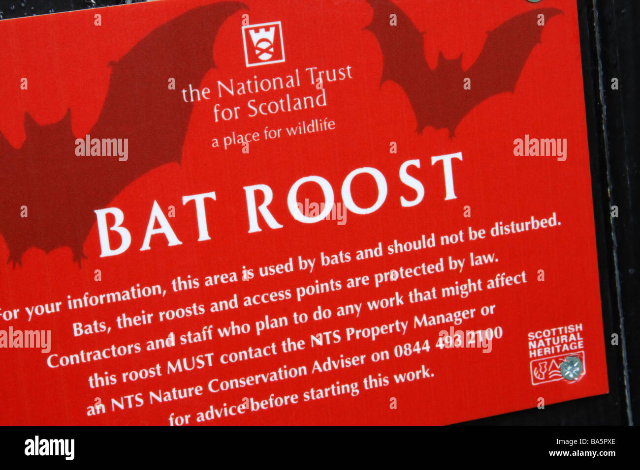 Bat warning sign hi-res stock photography and images - Alamy