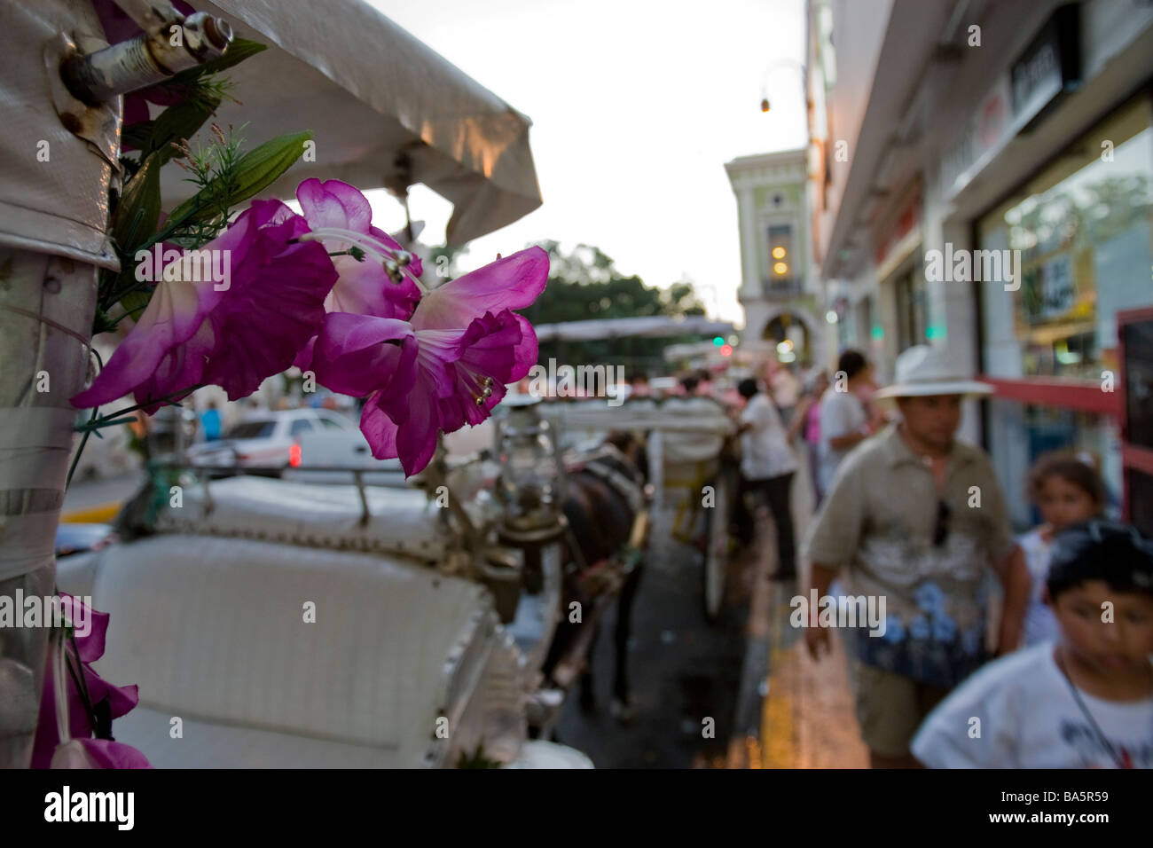 A flower on a carriage in downtown Merida Mexico Stock Photo - Alamy