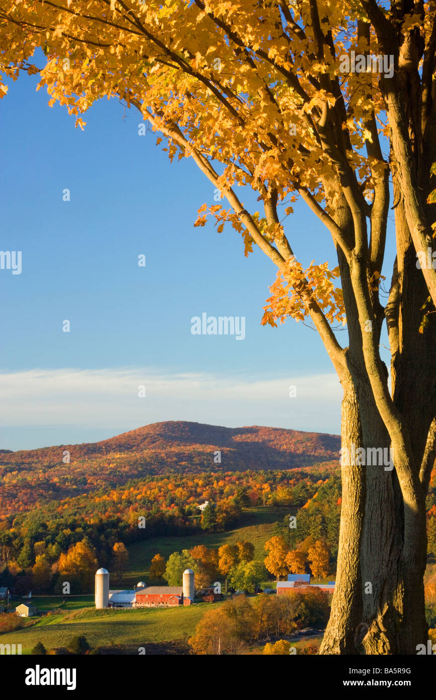 rural scene in Autumn in the Pownal Valley of Southern Vermont Stock ...