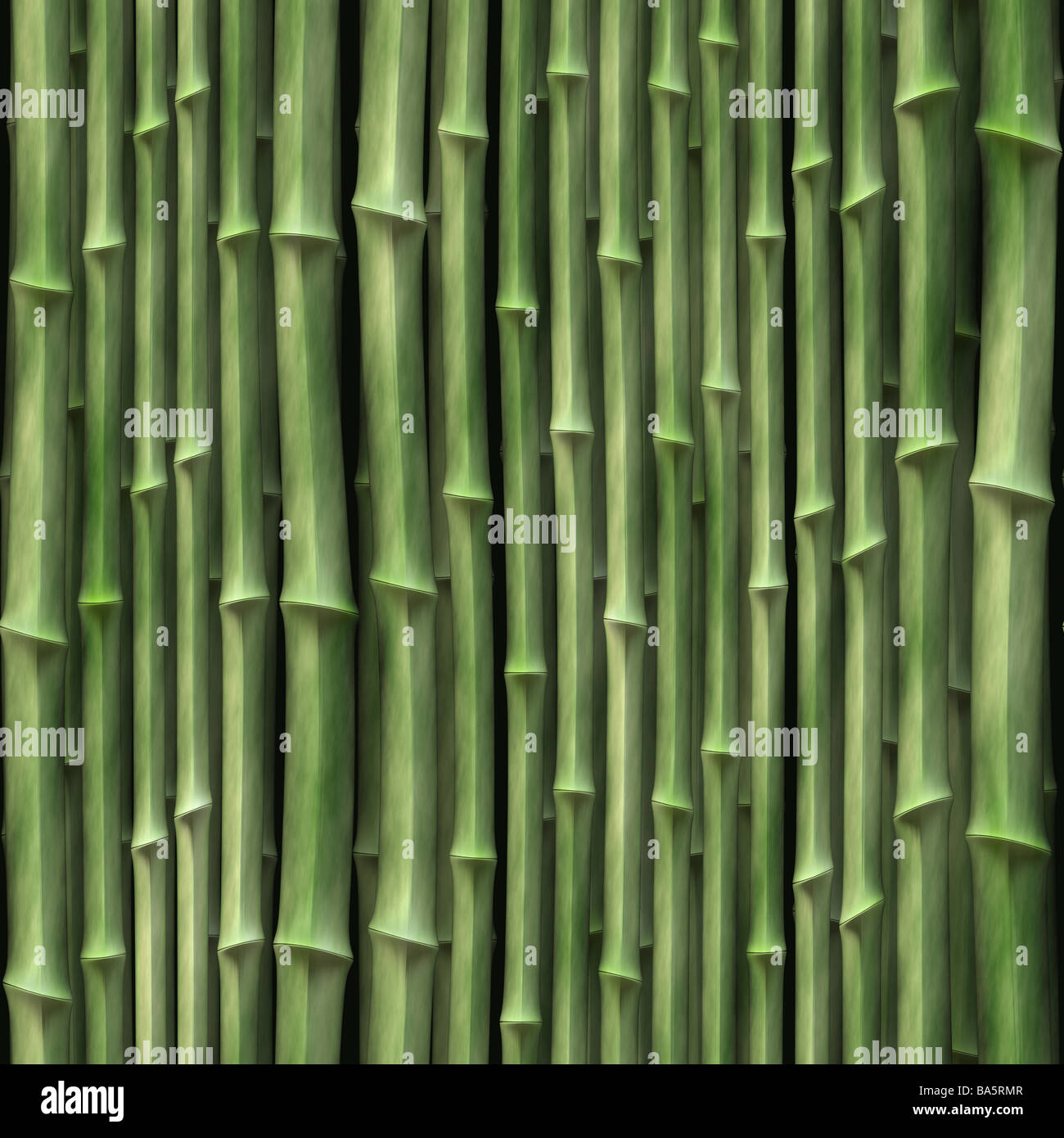 Rendered illustration of bamboo plant stems vegetation Stock Photo - Alamy