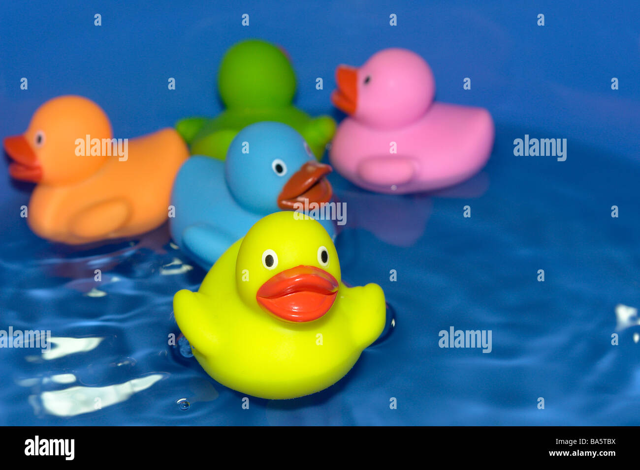 Facts About Rubber Ducks at Sophie Peters blog