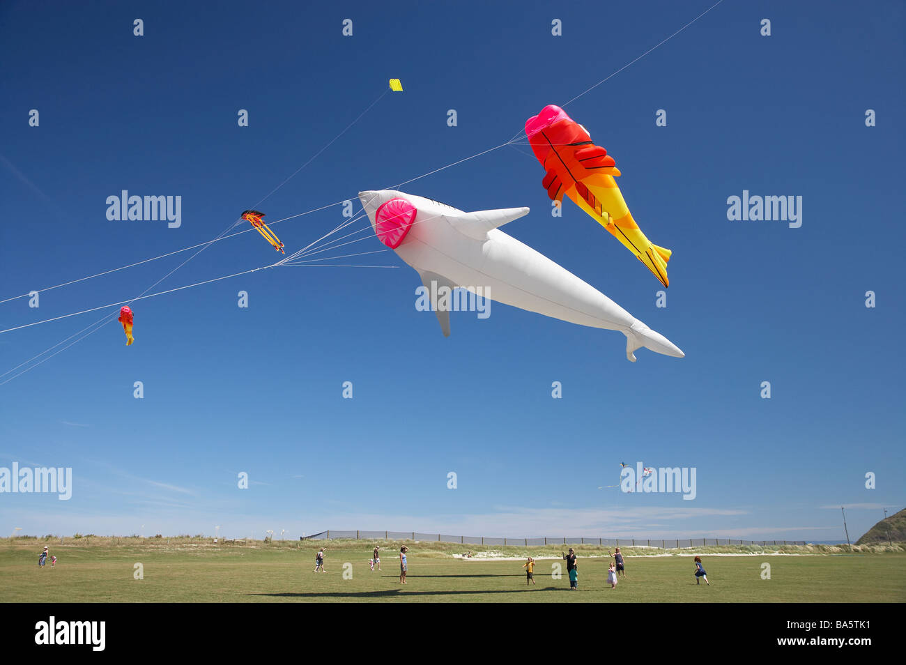 Shark kite hi-res stock photography and images - Alamy