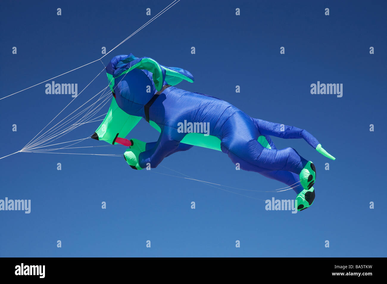 Dog Kite Dunedin Otago South Island New Zealand Stock Photo - Alamy