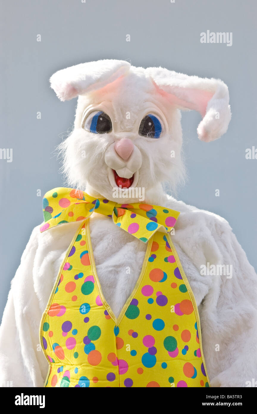 A person dressed up as an Easter Bunny Stock Photo - Alamy