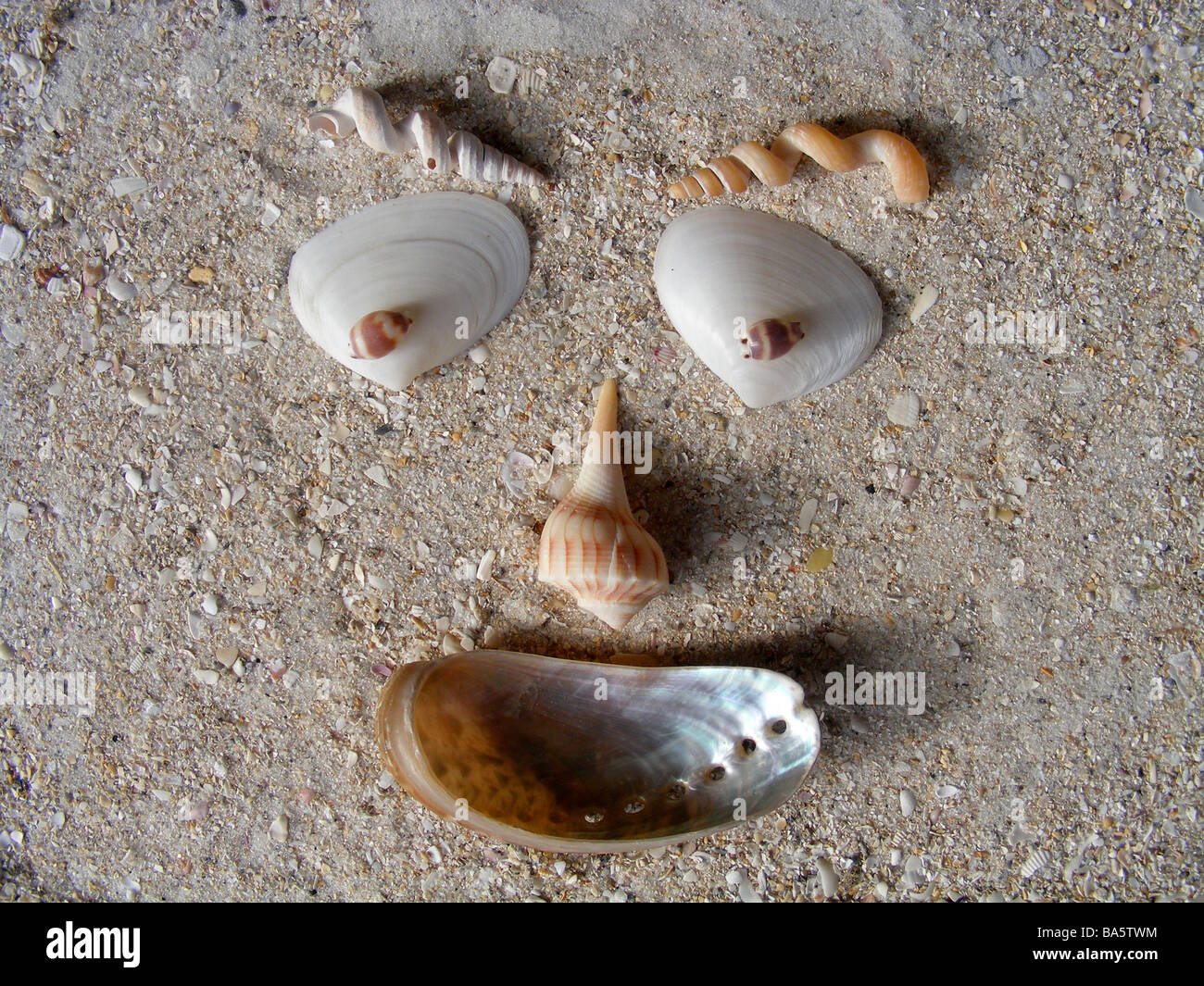 shells on beach in the shape of smiling face Stock Photo - Alamy