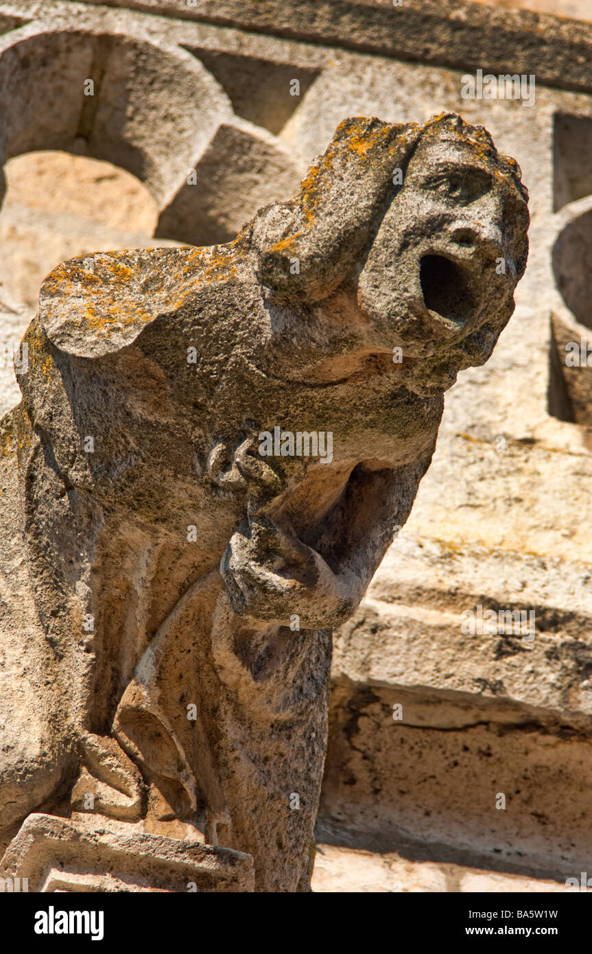 chimere Gargoyle Dom dome Regensburg gothic CATHEDRAL St Peter Roman ...