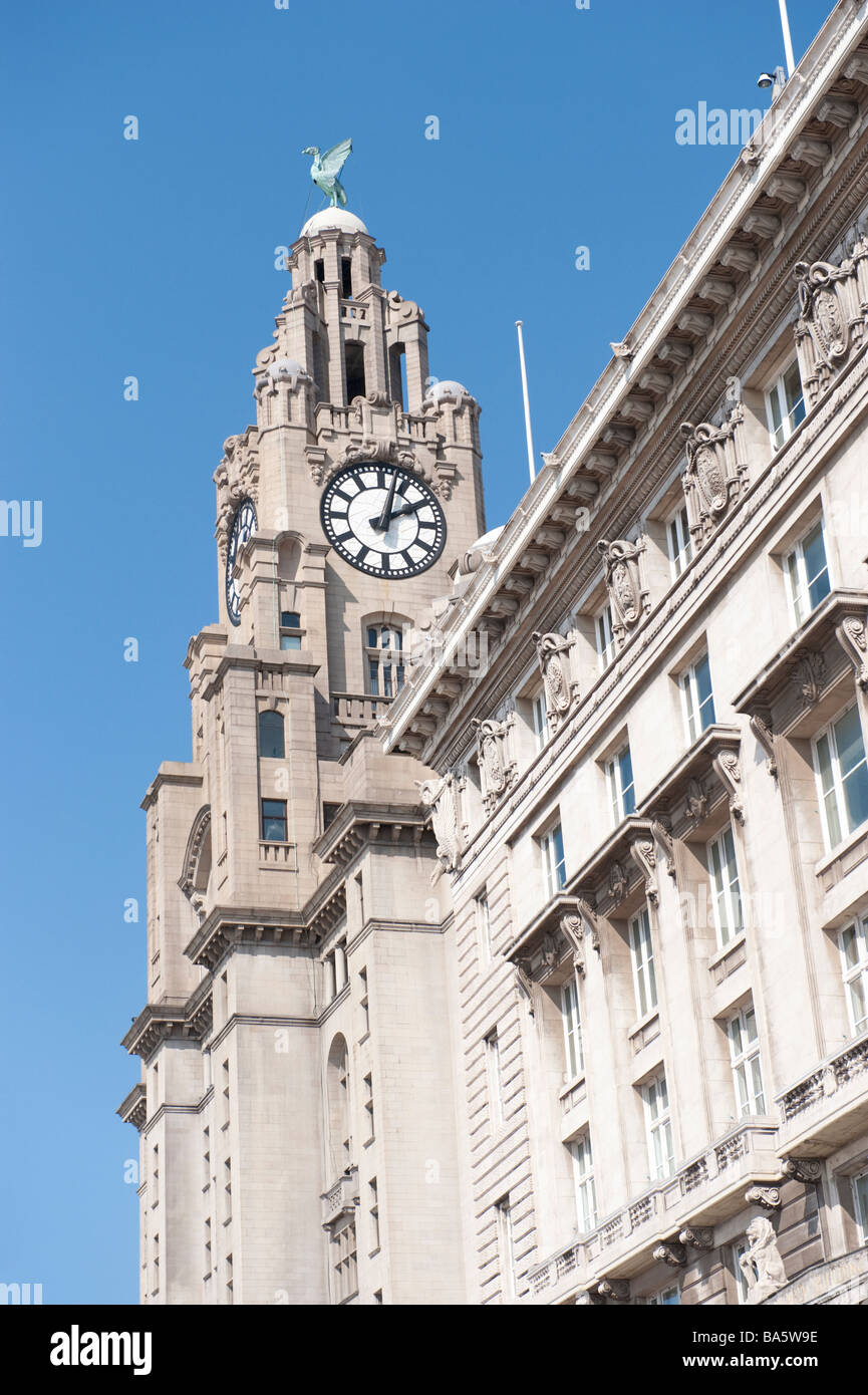 The liver building liverpool hi-res stock photography and images - Alamy