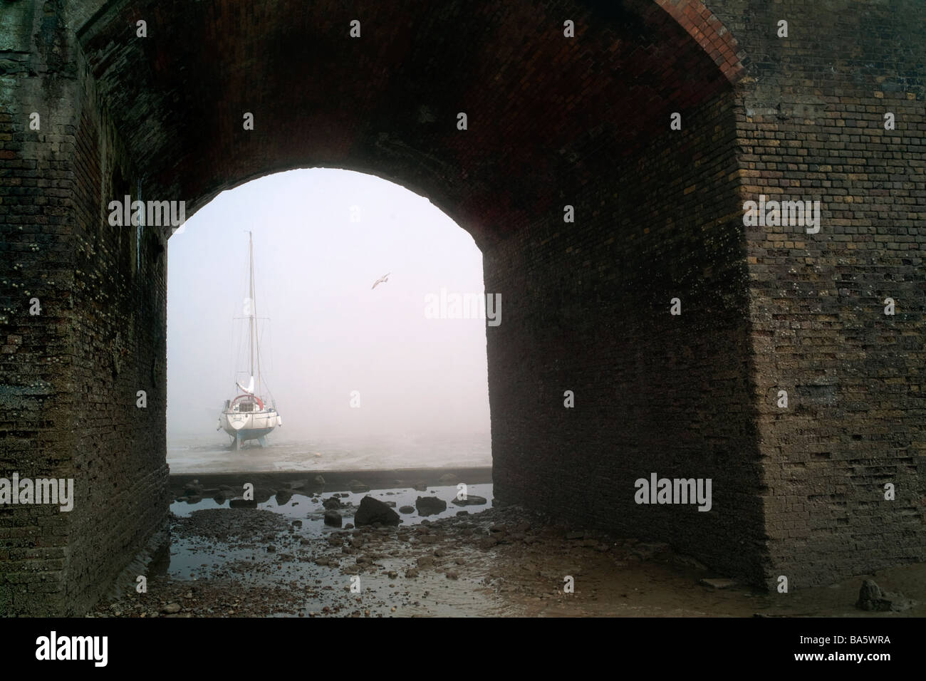 Sea fog in Folkestone Harbour, Kent England Stock Photo - Alamy