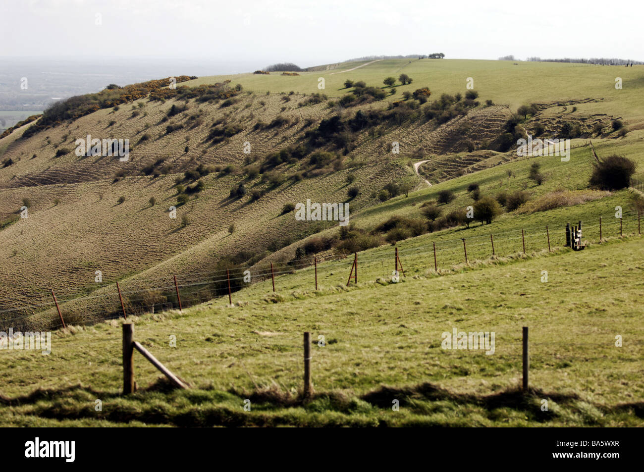 Ditching beacon hi-res stock photography and images - Alamy