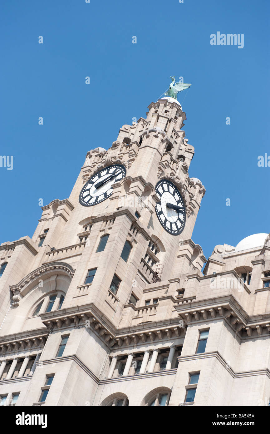 View of Liver Building Liverpool against blue sky Stock Photo - Alamy