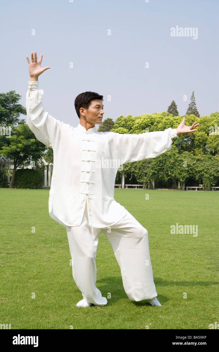 Tai chi master hi-res stock photography and images - Alamy