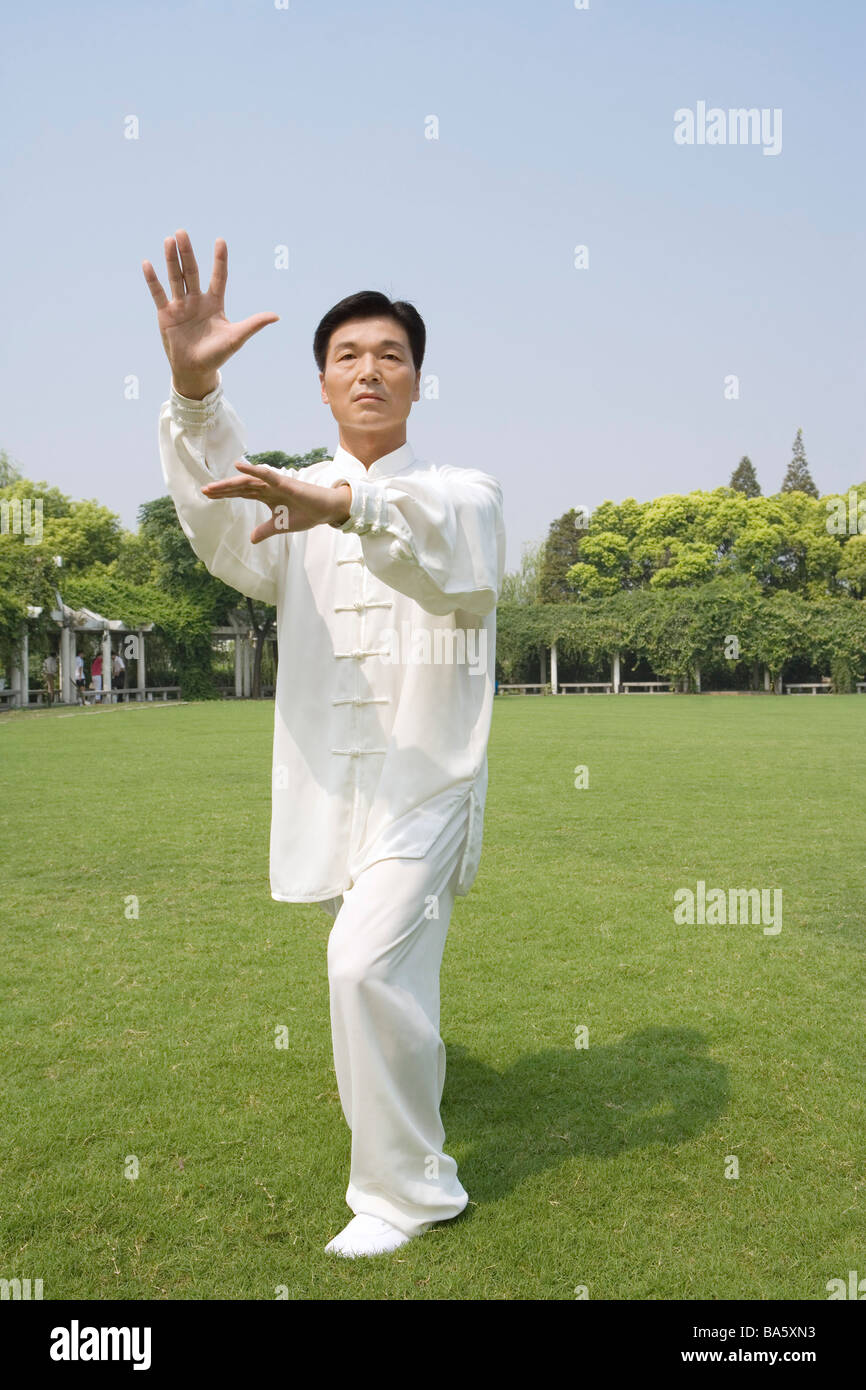 Man doing Tai Chi Outdoors Stock Photo - Alamy