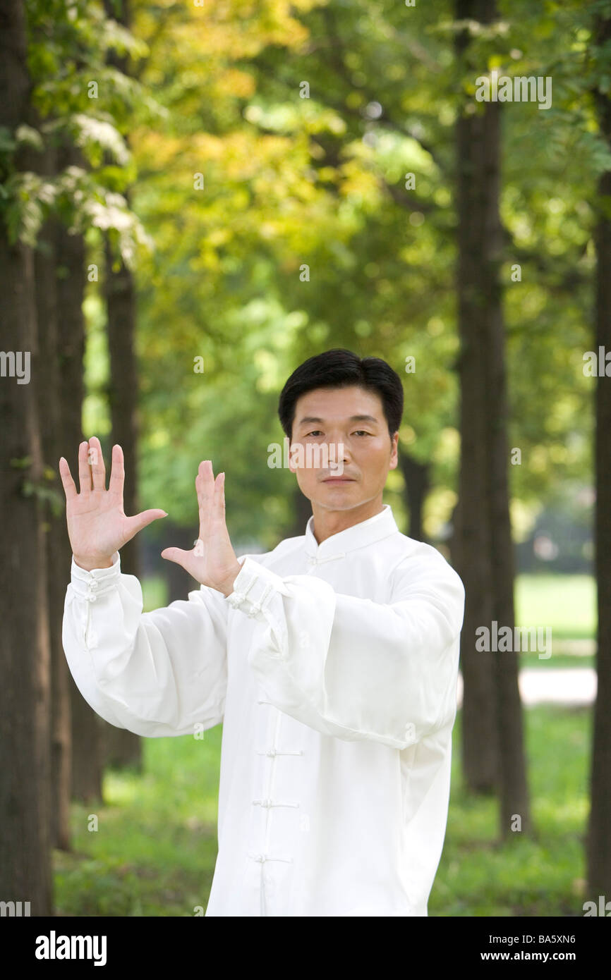 Man practicing Tai Chi amongst trees Stock Photo - Alamy