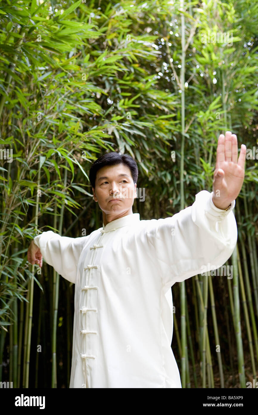 Man practicing Tai Chi amongst trees portrait Stock Photo - Alamy