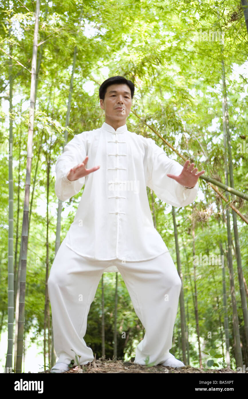 Man practicing Tai Chi amongst trees portrait Stock Photo - Alamy