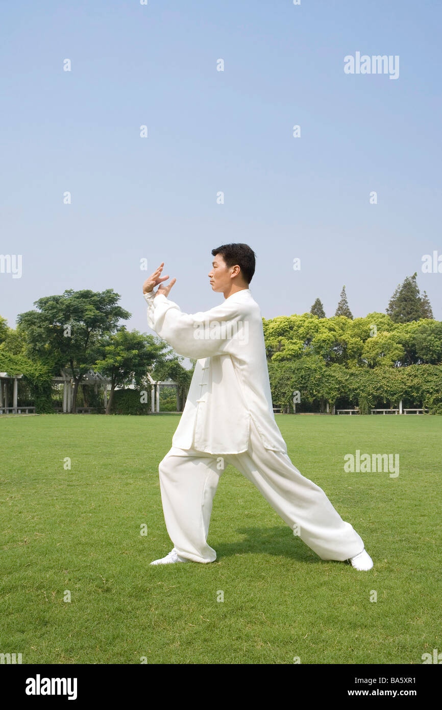 Man practicing Tai Chi on lawn Stock Photo - Alamy