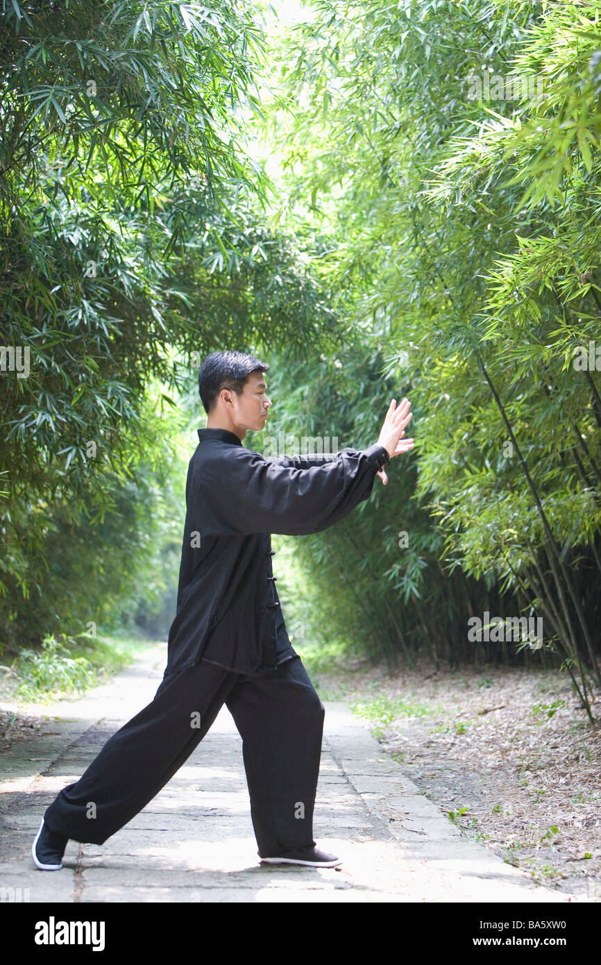 Man doing Tai Chi Outdoors Stock Photo - Alamy