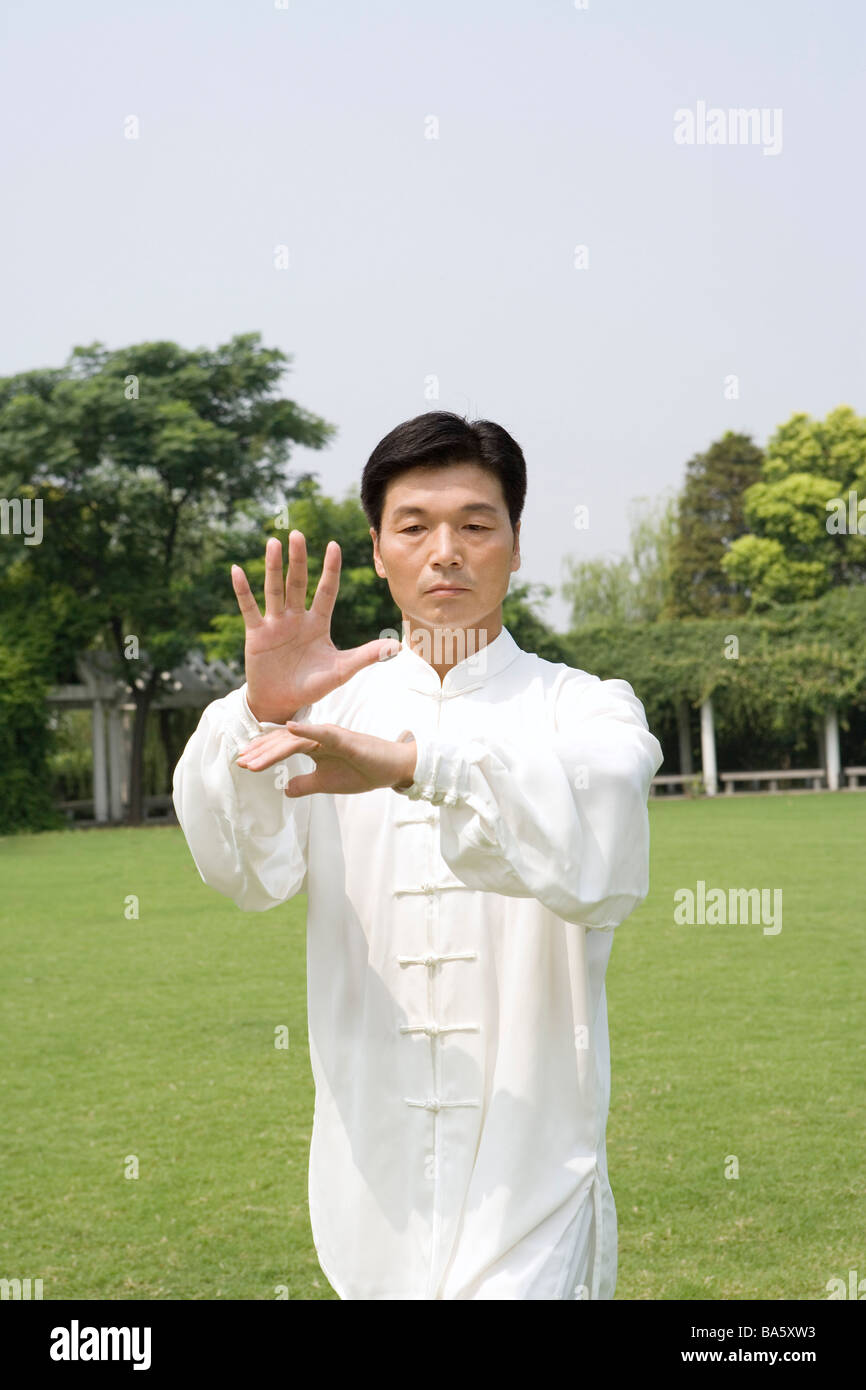 Man doing Tai Chi on lawn Stock Photo - Alamy