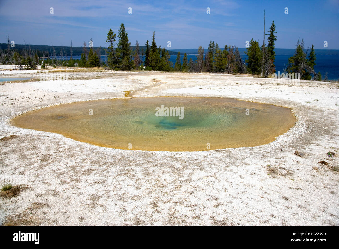 Percolating Spring West Thumb Geyser Basin Yellowstone Lake Yellowstone ...
