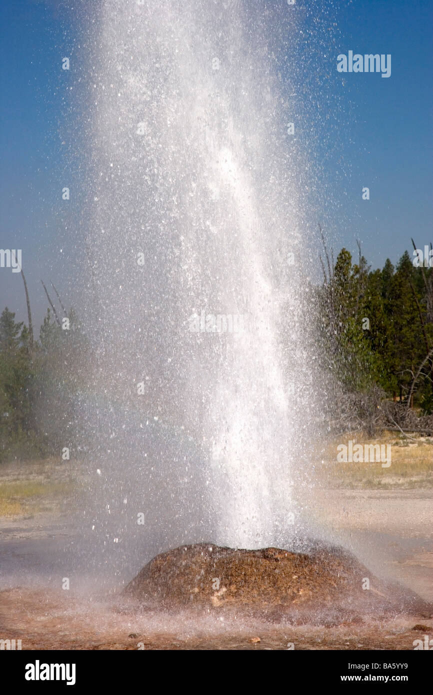 Pink Cone Geyser Yellowstone National Park Wyoming USA Stock Photo - Alamy